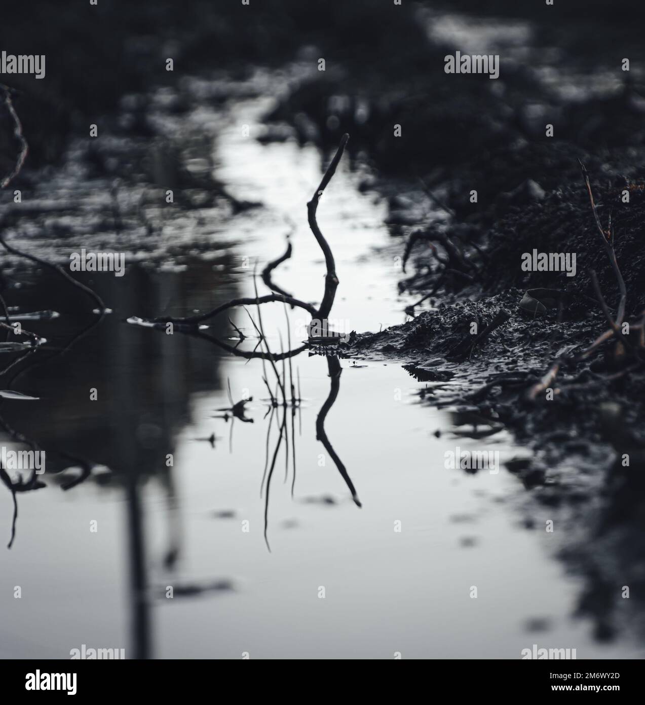 a walk around glenn innes Stock Photo - Alamy