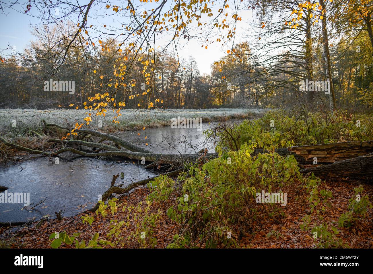 Autumn in westphalia Stock Photo - Alamy