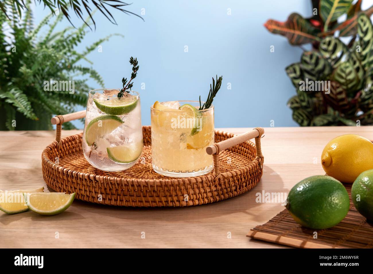 Sparkling cocktails with ice and citrus on a wicker tray. Popular bright refreshing alcohol ...