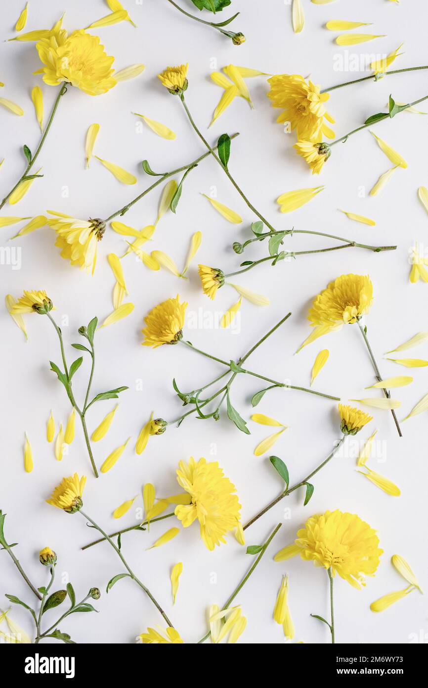 Flat lay floral hi-res stock photography and images - Alamy