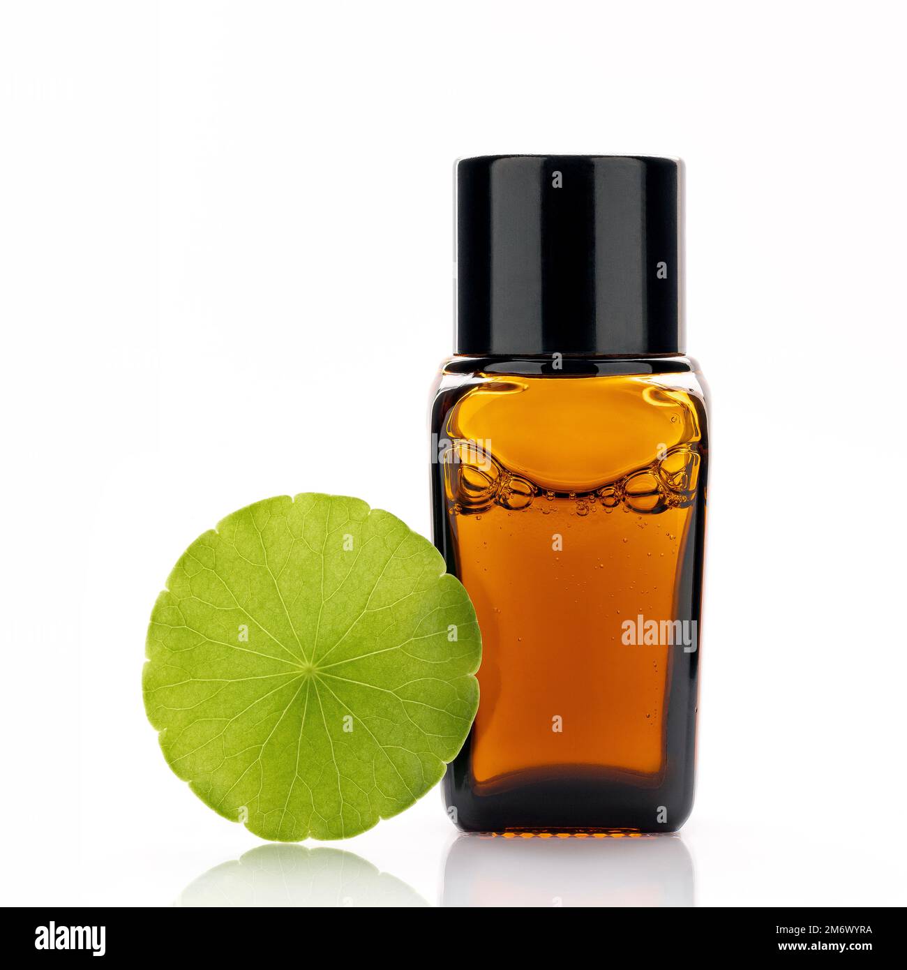 Close up centella asiatica extract in amber bottle with centella ...