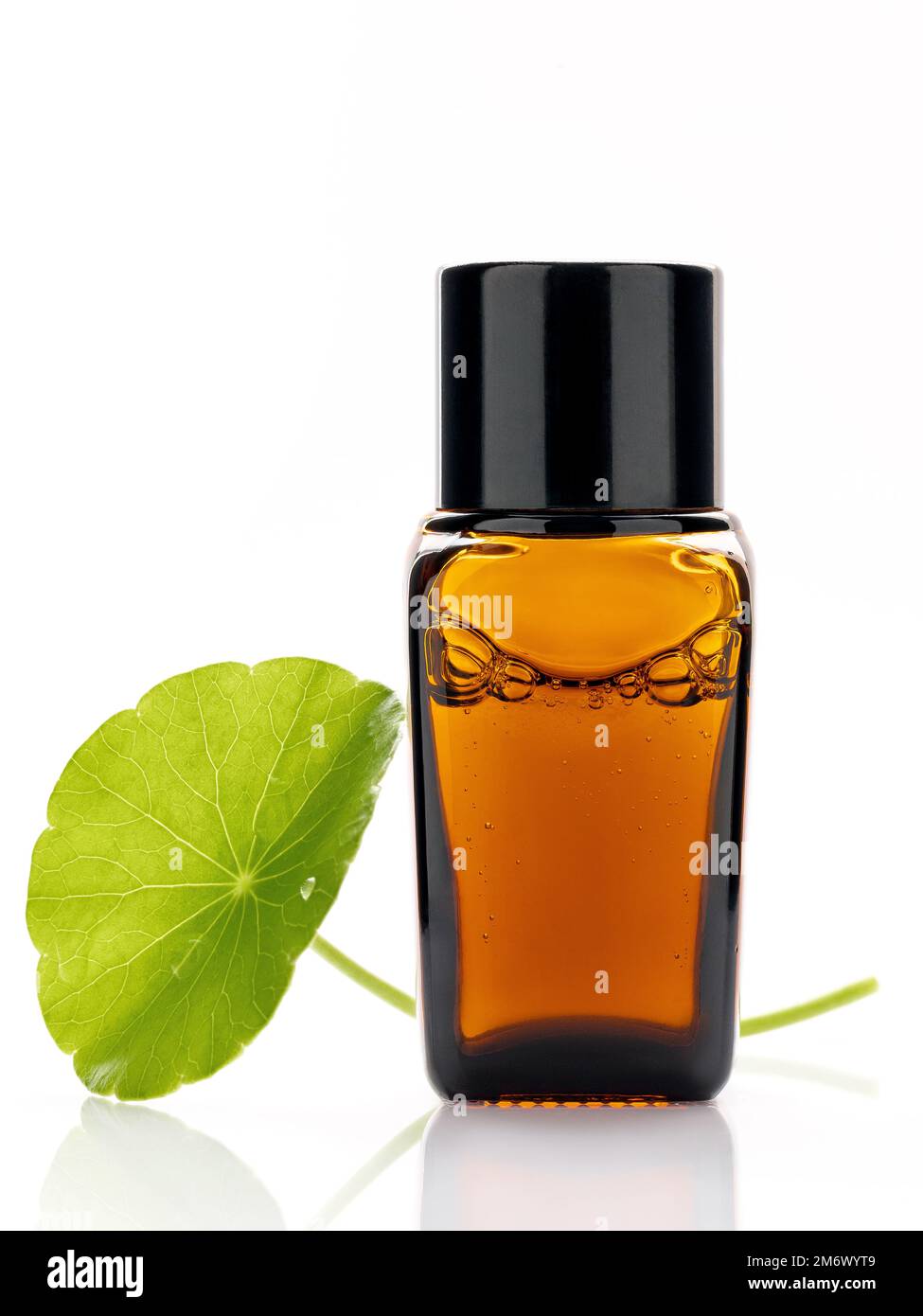 Close up centella asiatica extract in amber bottle with centella ...