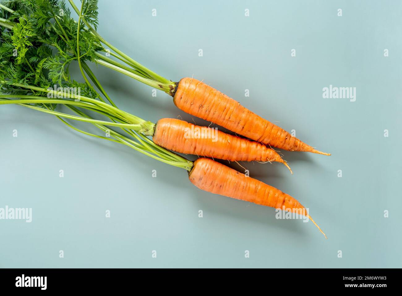 Bunch of fresh carrots. Freshly bunch harvest. Fresh farm vegetables on ...