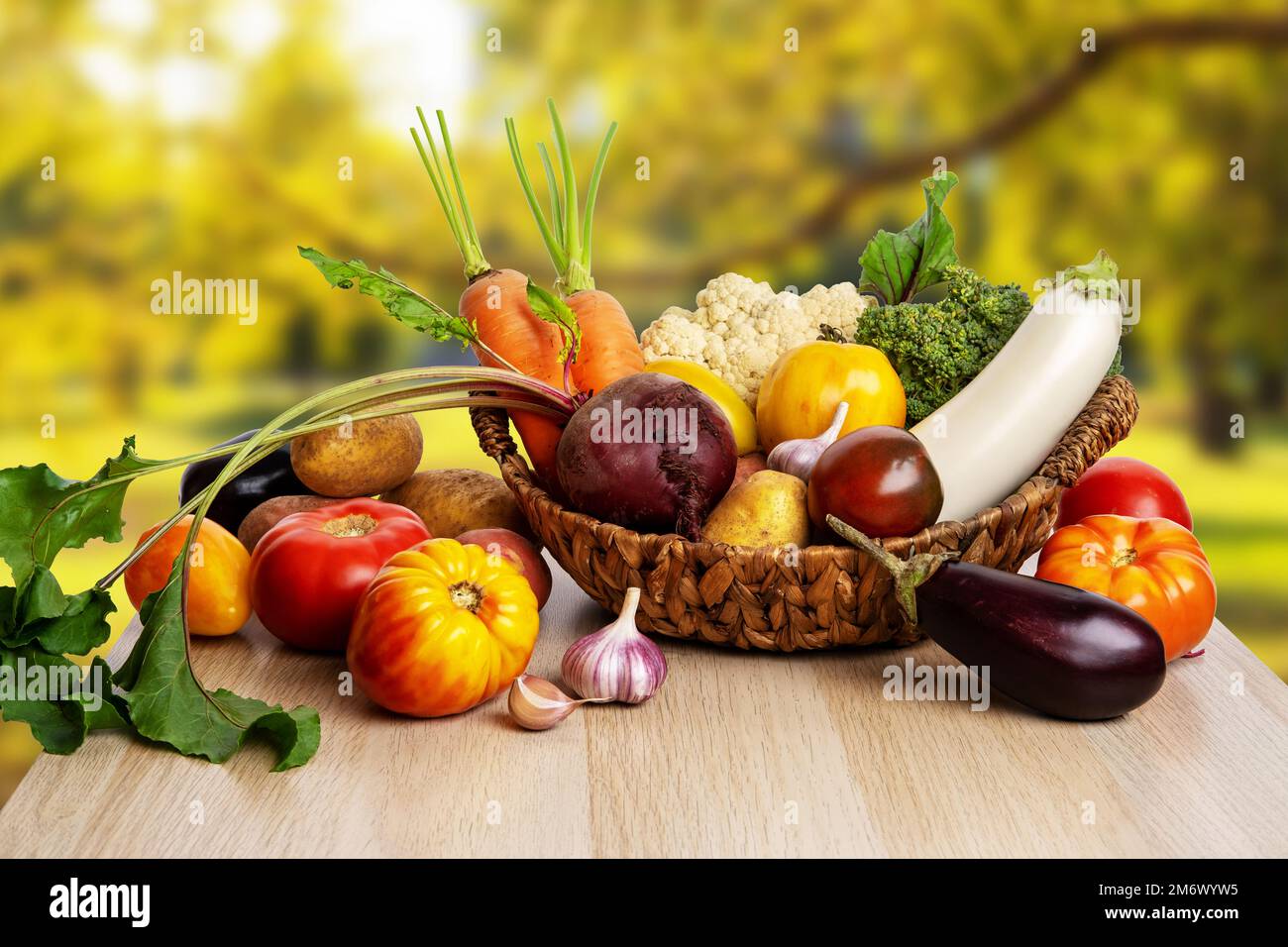 Freshly bunch harvest. Fresh farm vegetables in wicker basket. Healthy ...