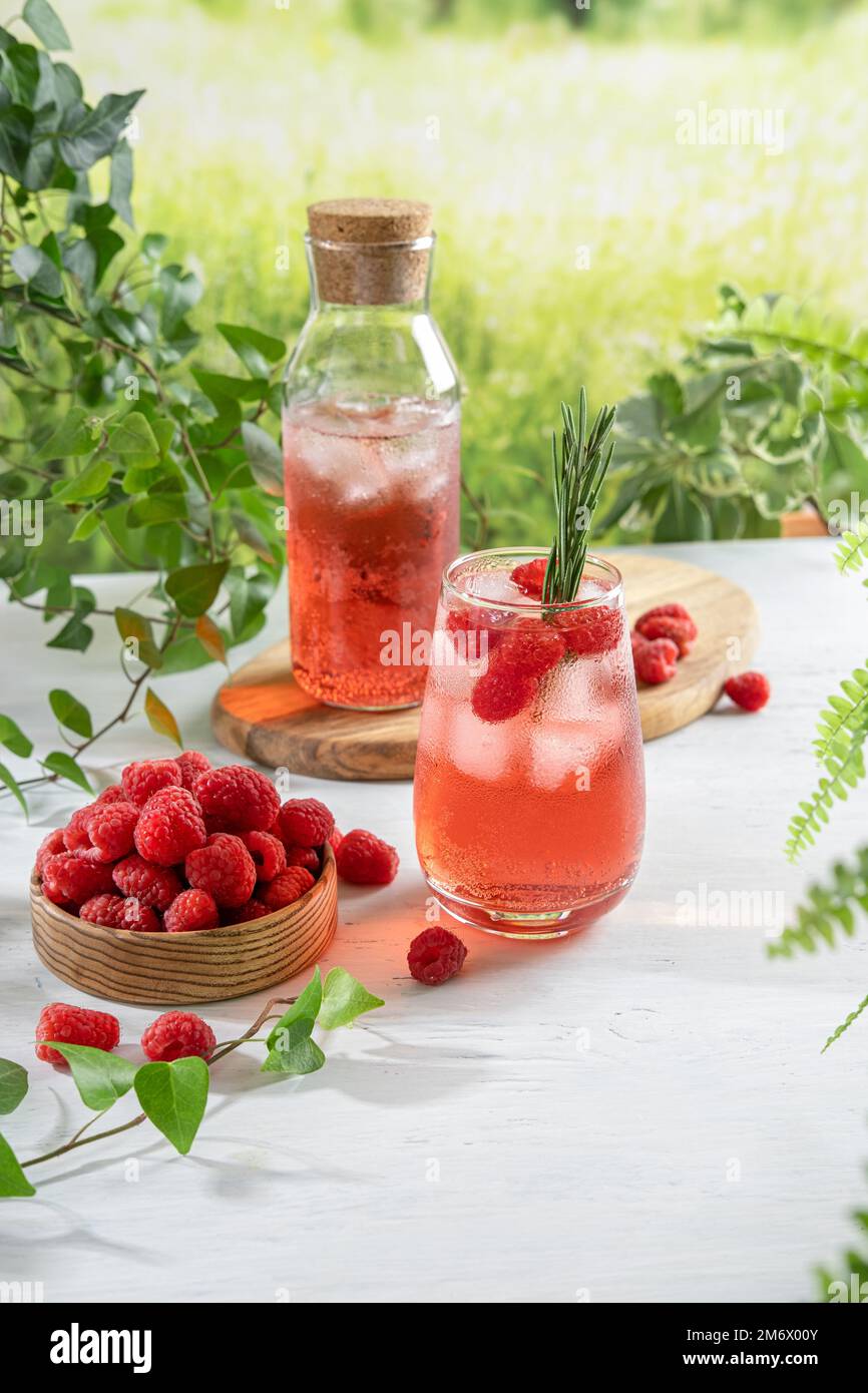 Summer refreshing non-alcoholic cocktails. Raspberry lemonade garnished ...