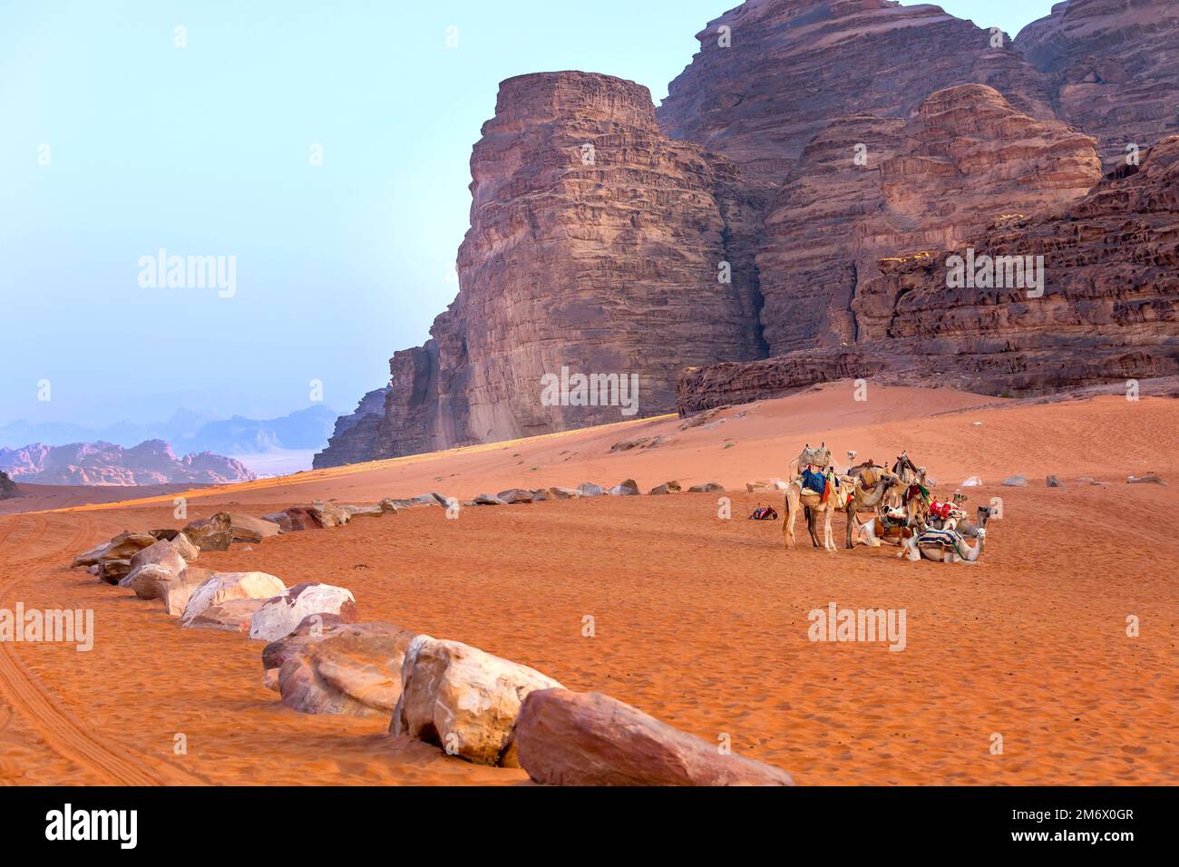 Landscape with camels in Wadi Rum desert, Jordan Stock Photo - Alamy