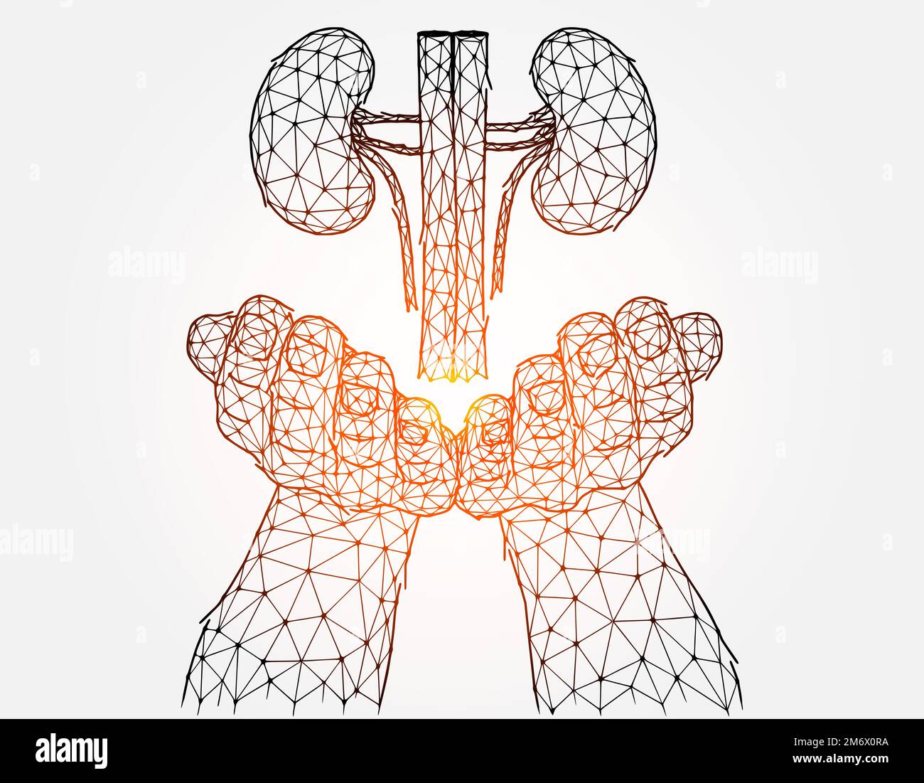 Polygonal vector illustration of a hand with human kidneys. Organ ...