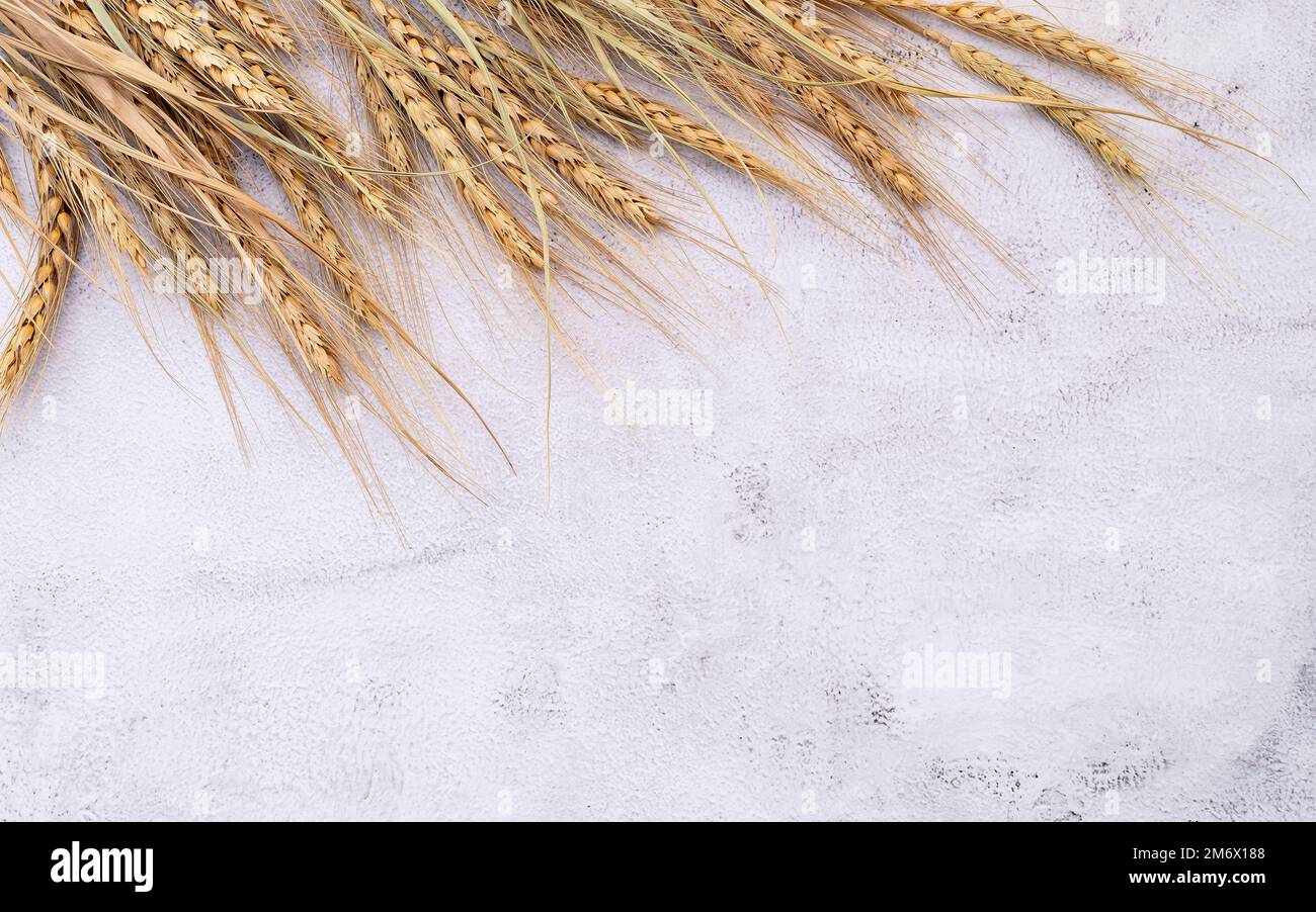 Wheat ears and wheat grains set up on white stone background Stock ...