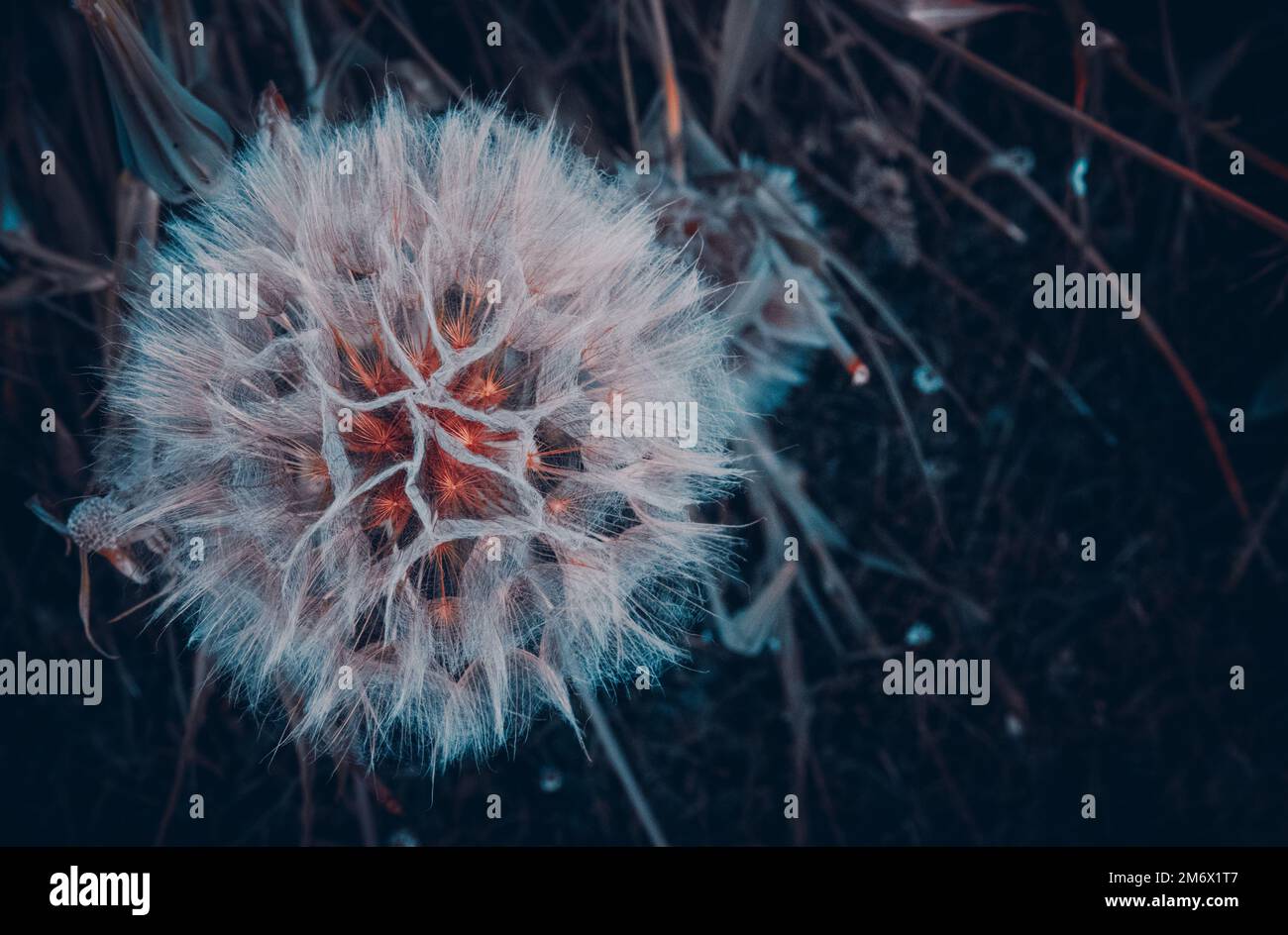 a walk around glenn innes Stock Photo - Alamy