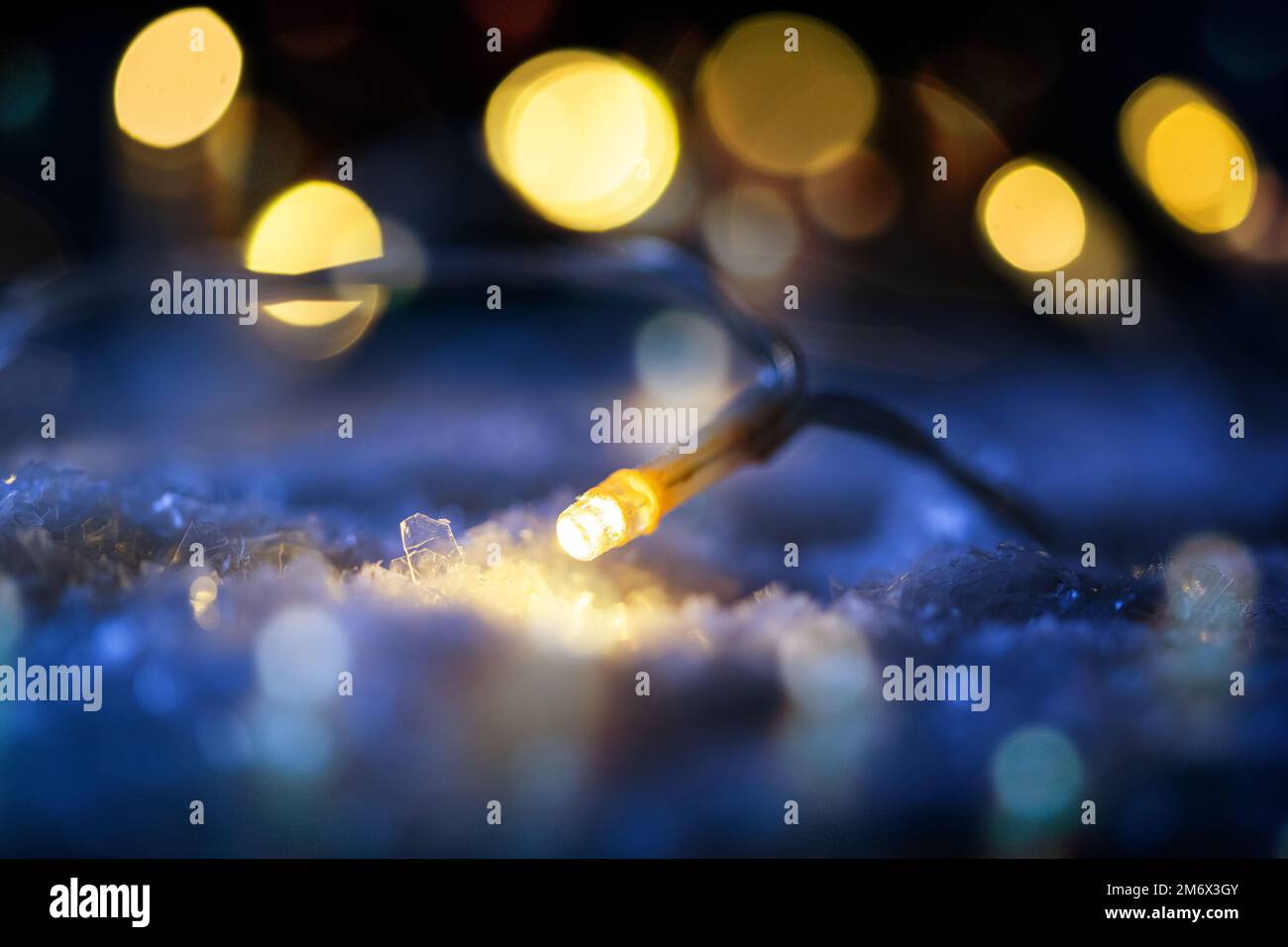 Green string lights hi-res stock photography and images - Alamy