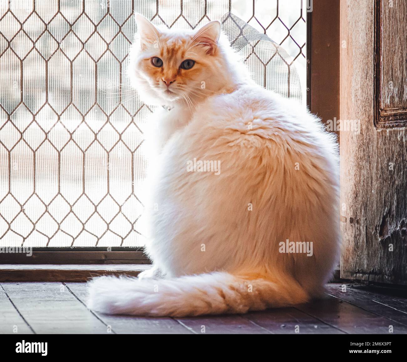 a walk around glenn innes Stock Photo - Alamy