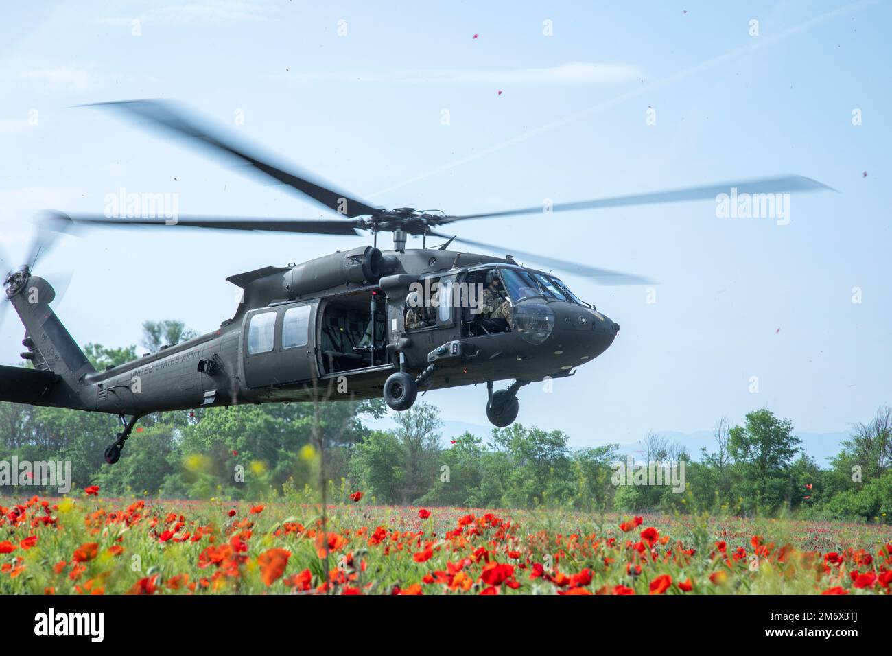 Soldiers assigned to the British 16th Air Assault Brigade Combat Team ...