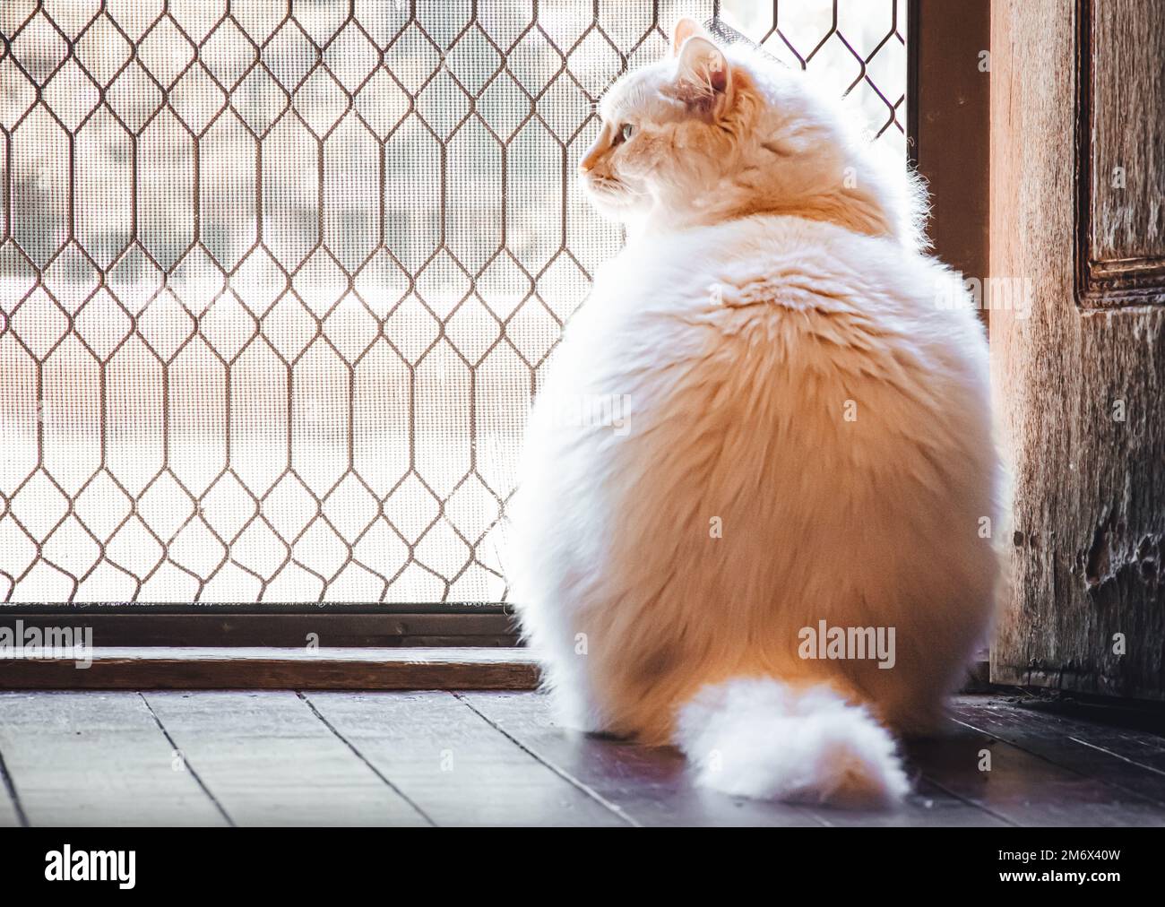 Glen innes train hi-res stock photography and images - Alamy