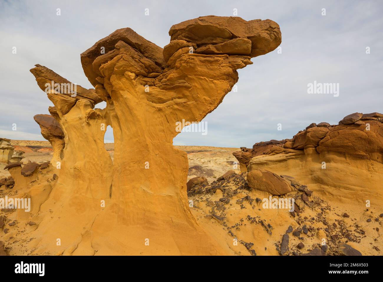 Bisti badlands wildnis de na zin hi-res stock photography and images ...