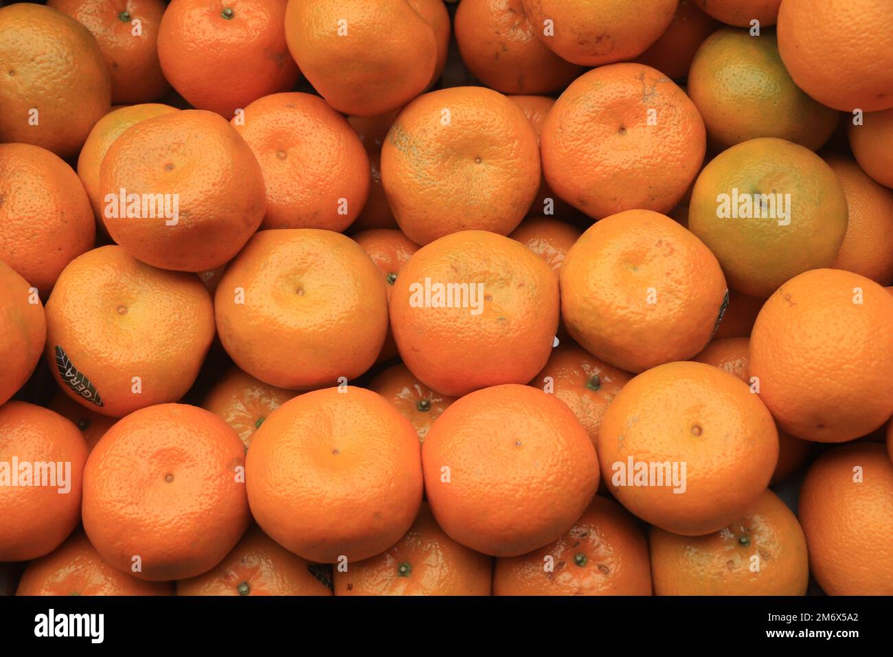 Oranges in a row at market Stock Photo - Alamy