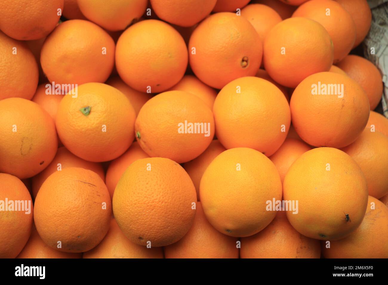 Orange in a row at market Stock Photo - Alamy