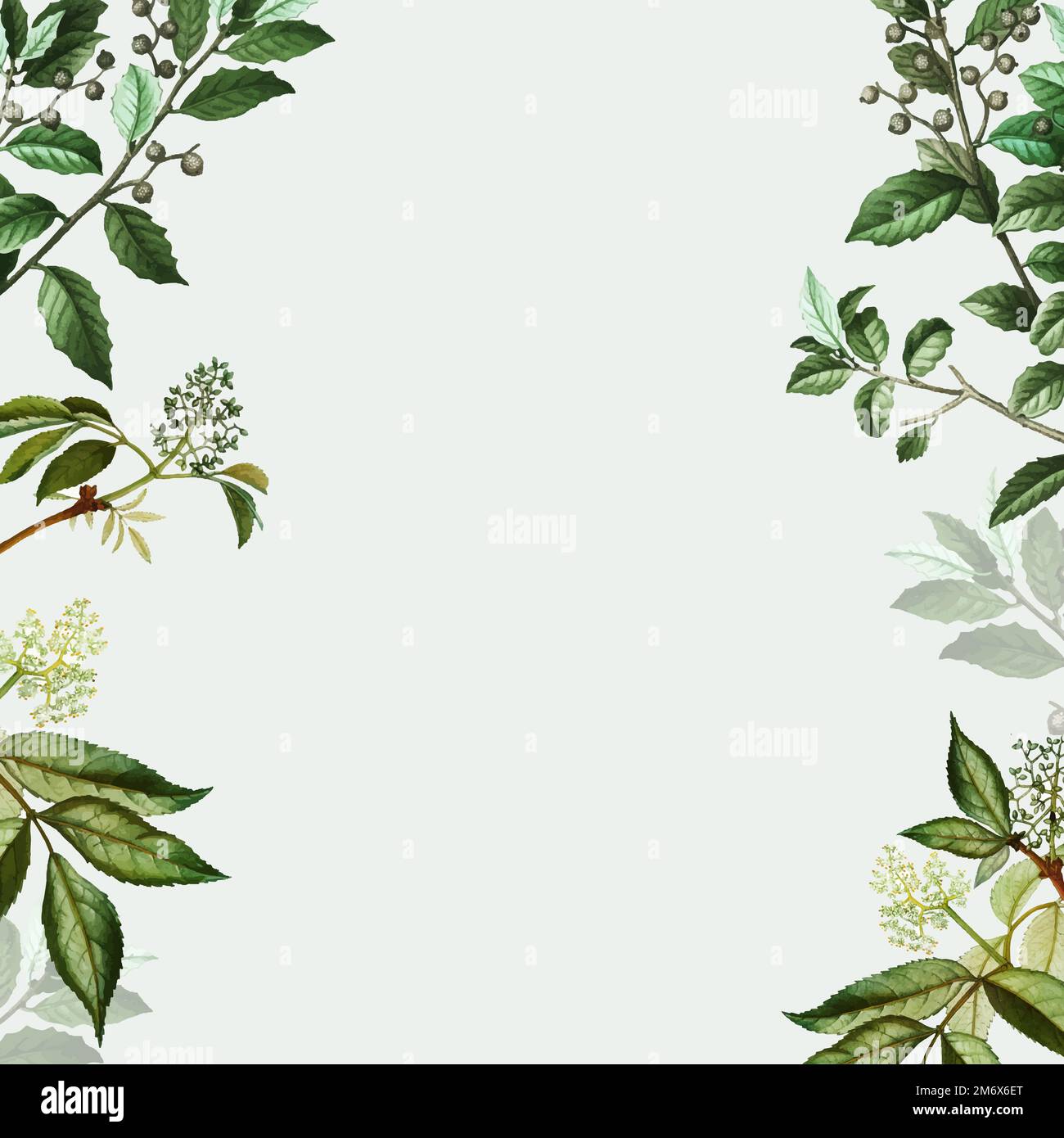 Vintage botanical frame design vector Stock Vector Image & Art - Alamy