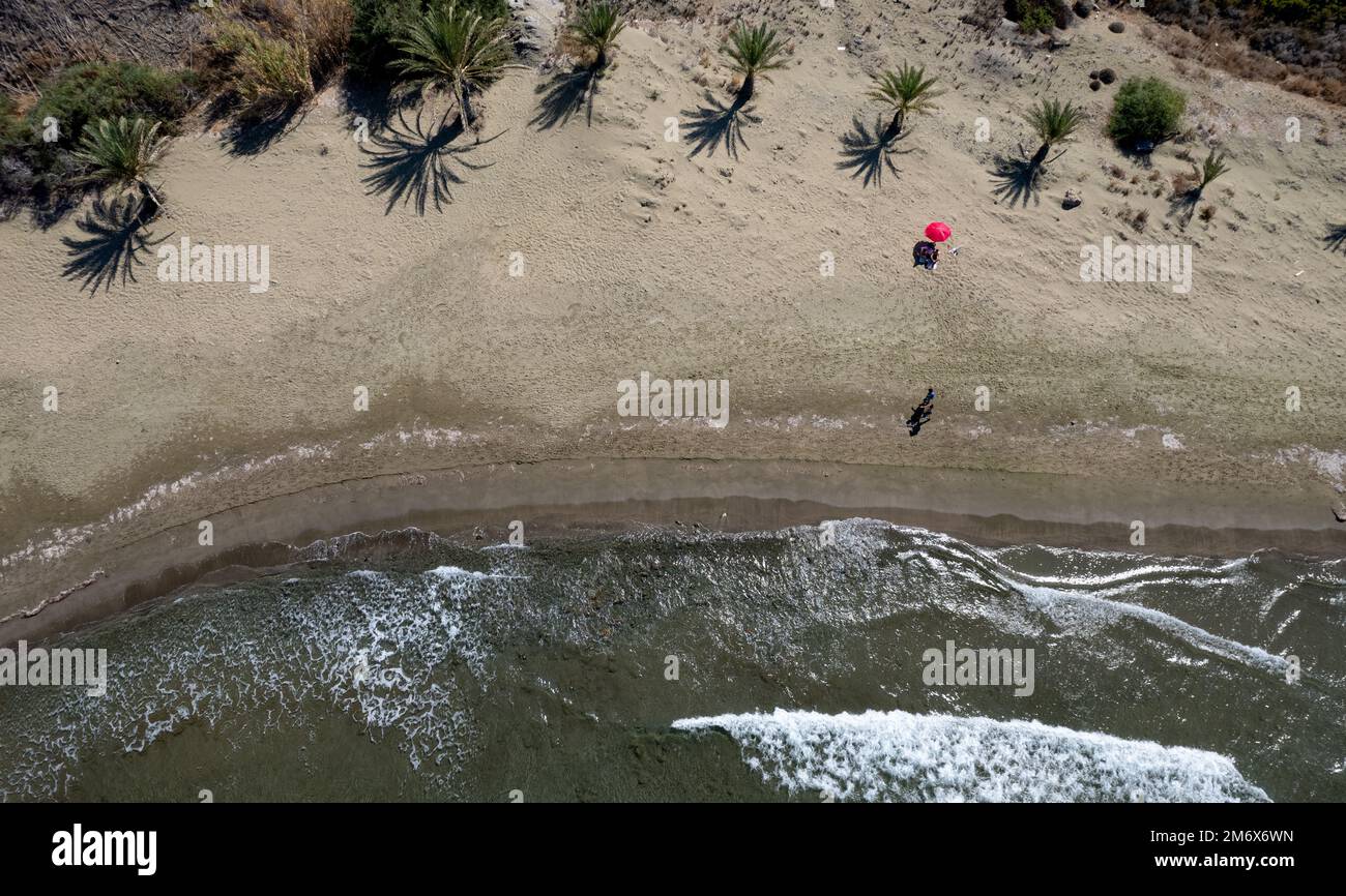 People relaxing under the tree hi-res stock photography and images - Alamy