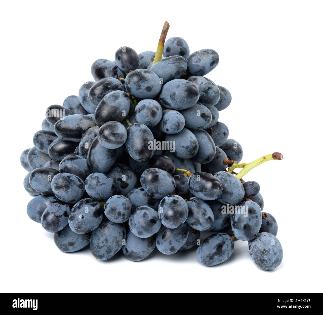 Blue wine grapes vine hi-res stock photography and images - Alamy