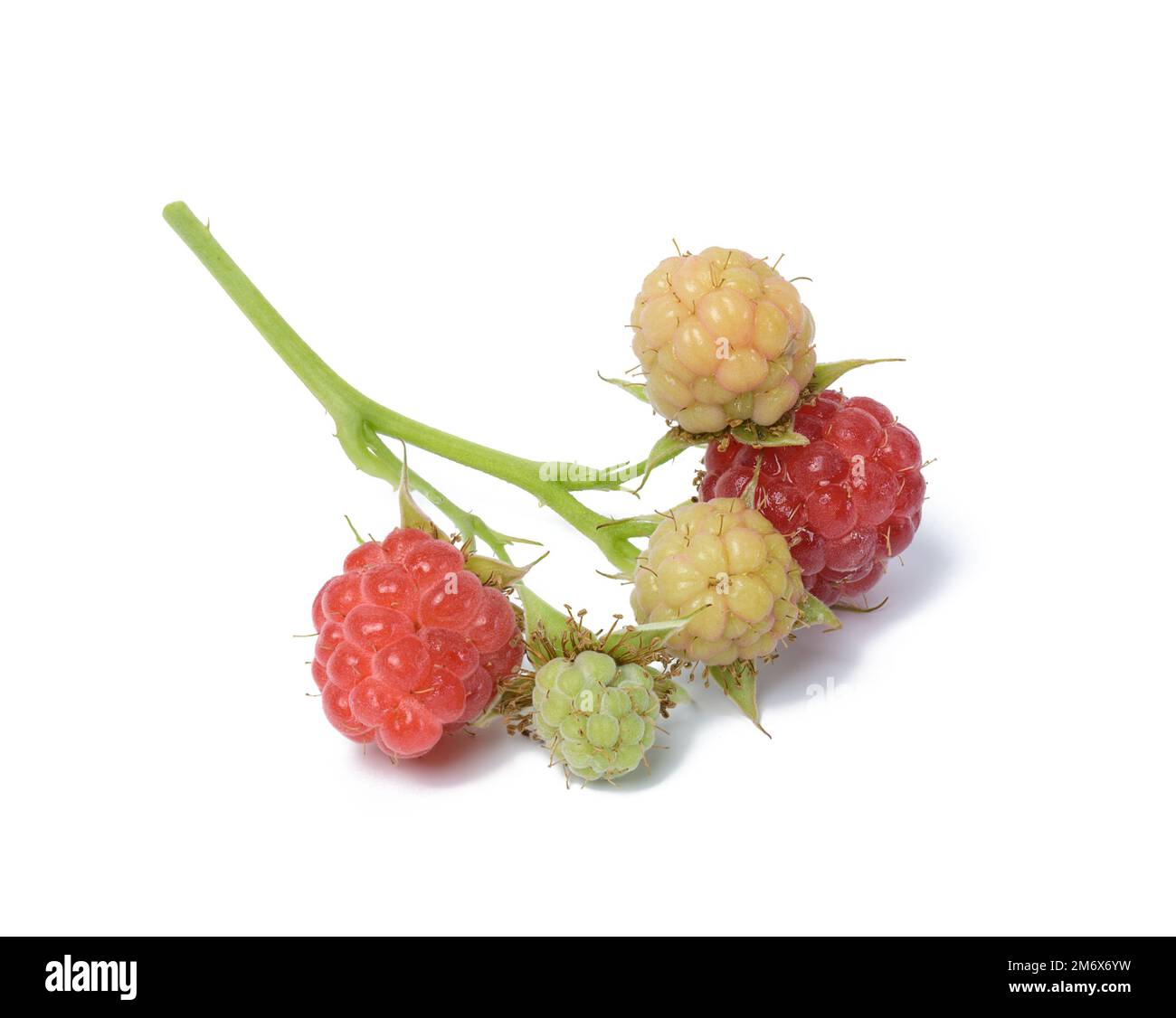 Close up ripe organic red Cut Out Stock Images & Pictures - Alamy