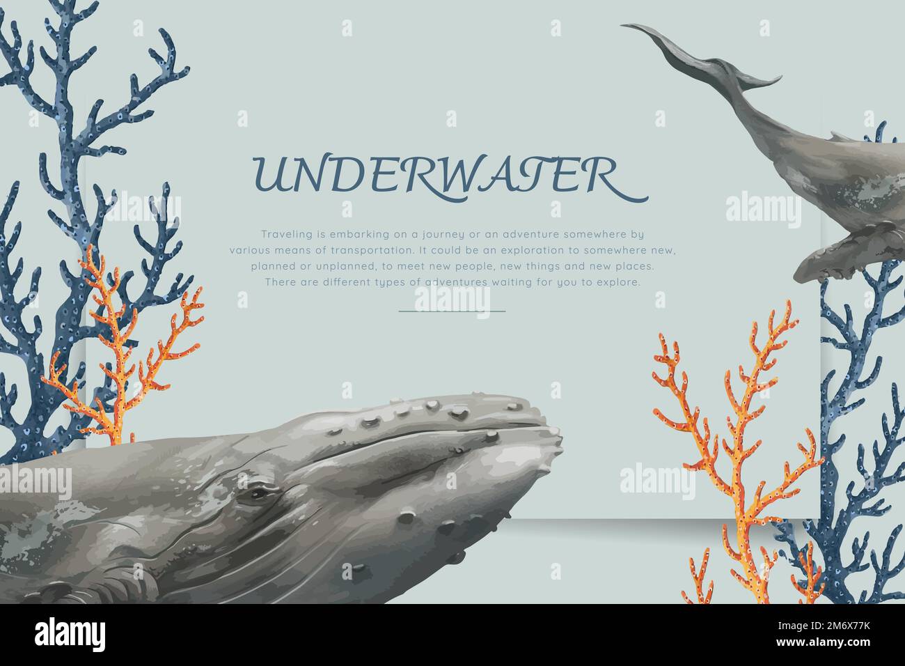 Aquatic journey Stock Vector Images - Alamy