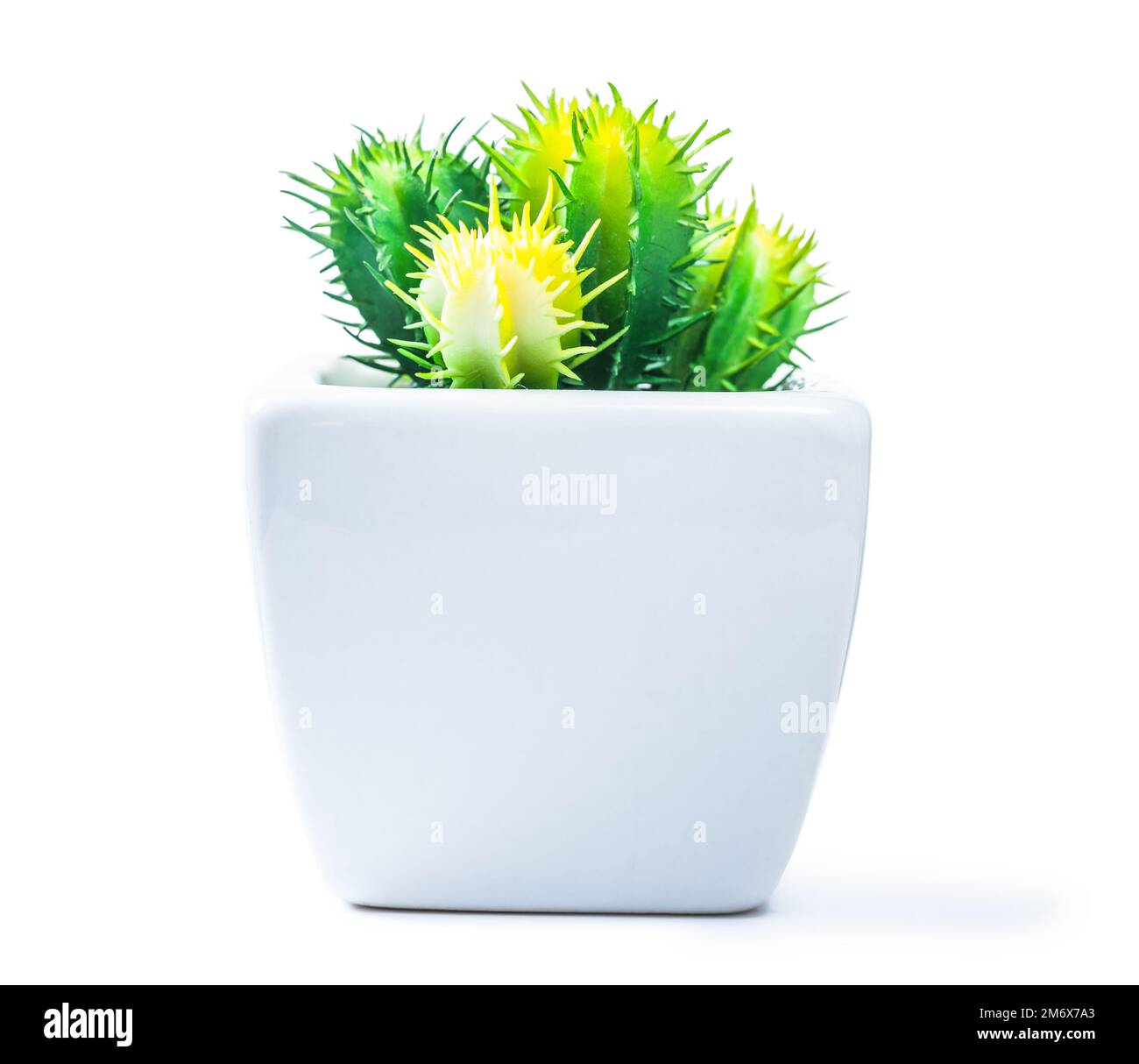 plastic fake cactus in white ceramic pot isolated Stock Photo - Alamy