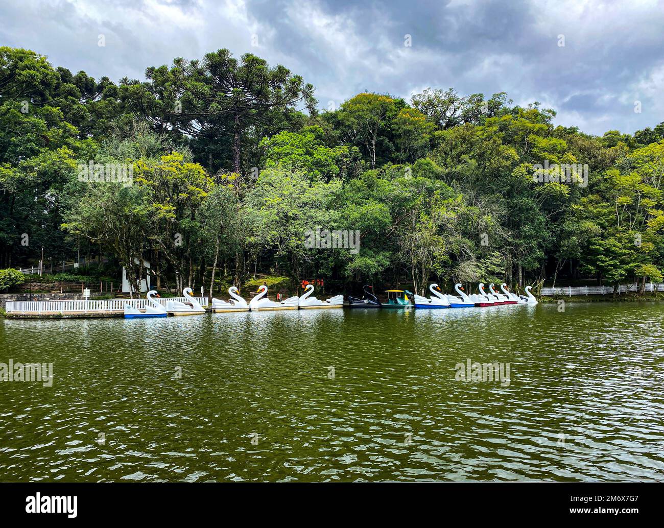 A lake with rental swan boats at a park Stock Photo - Alamy