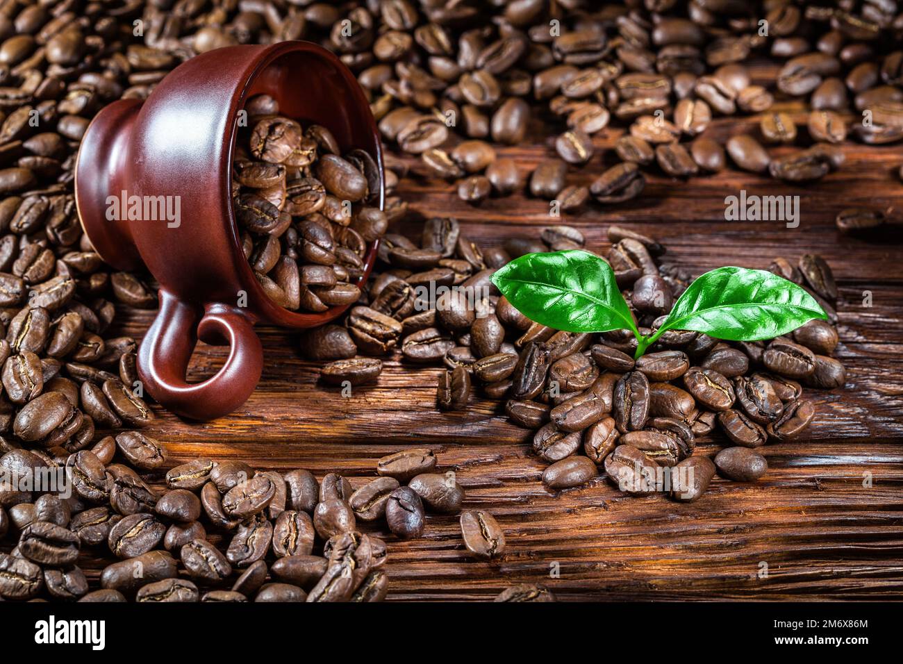 Coffee beans poured out on hi-res stock photography and images - Alamy