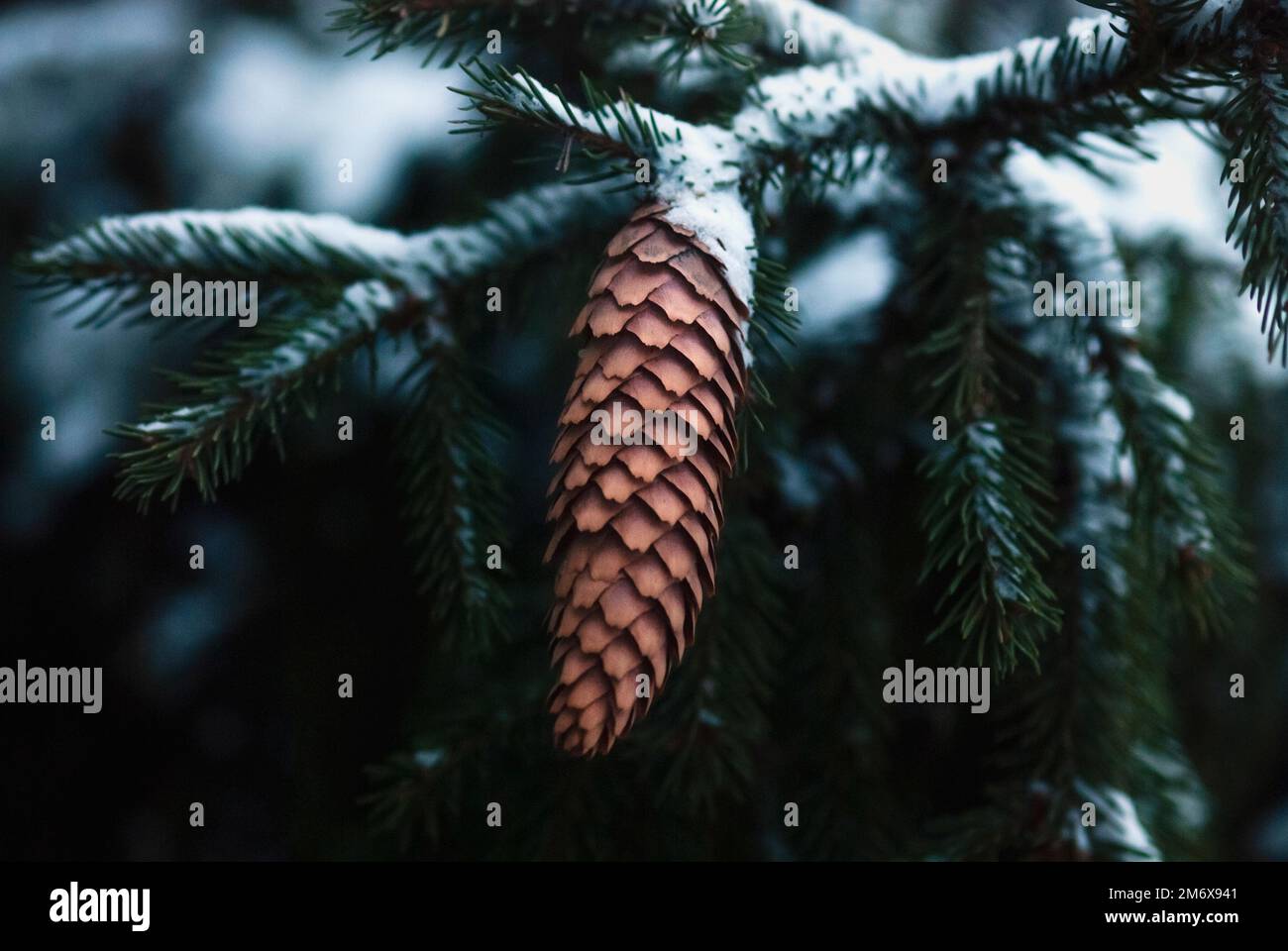 Mysterious cone hi-res stock photography and images - Alamy