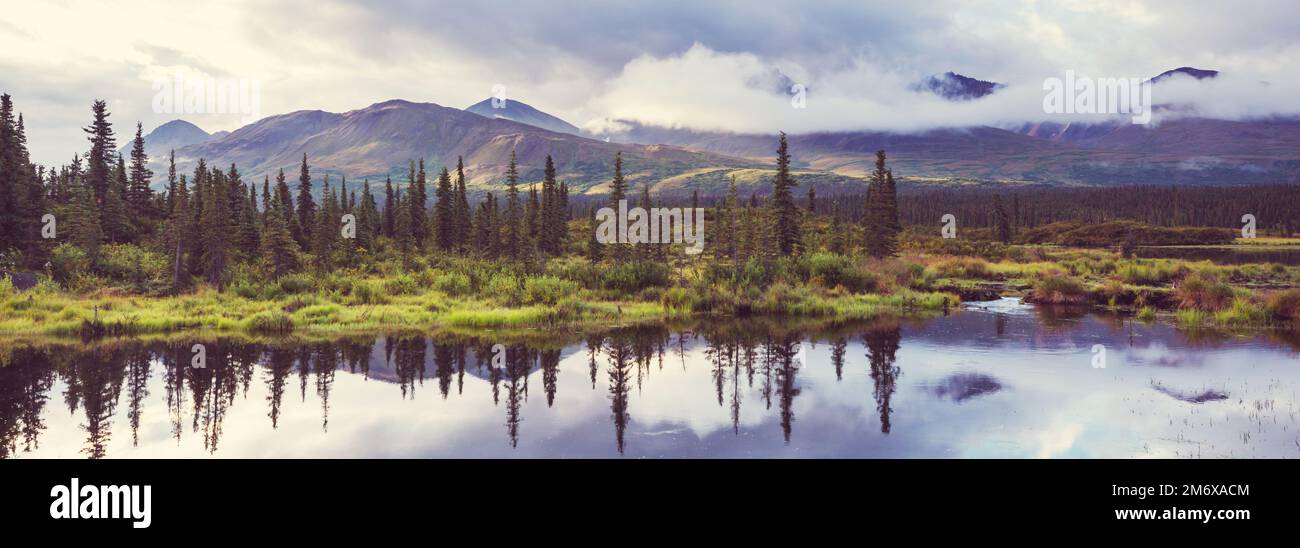 Lake in Alaska panorama Stock Photo - Alamy