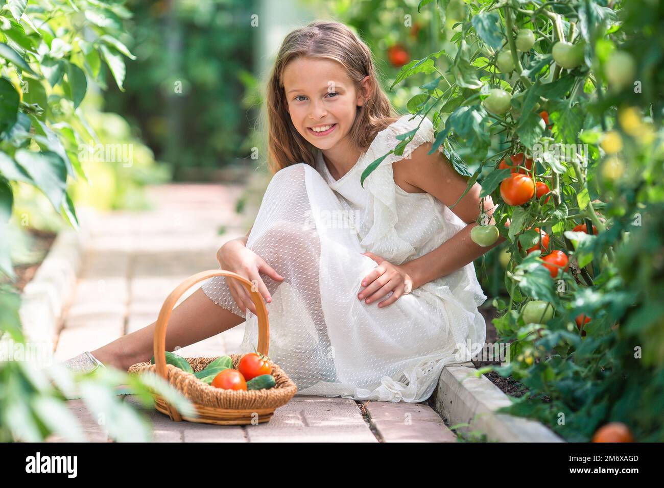 Adorable girl harvesting vegetables in greenhouse. Portrait of kid with ...