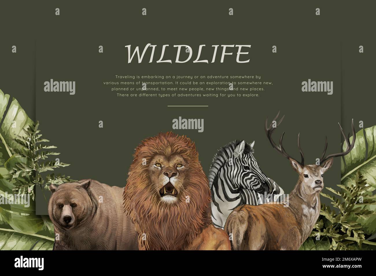 Wildlife poster with various animals vector Stock Vector Image & Art ...