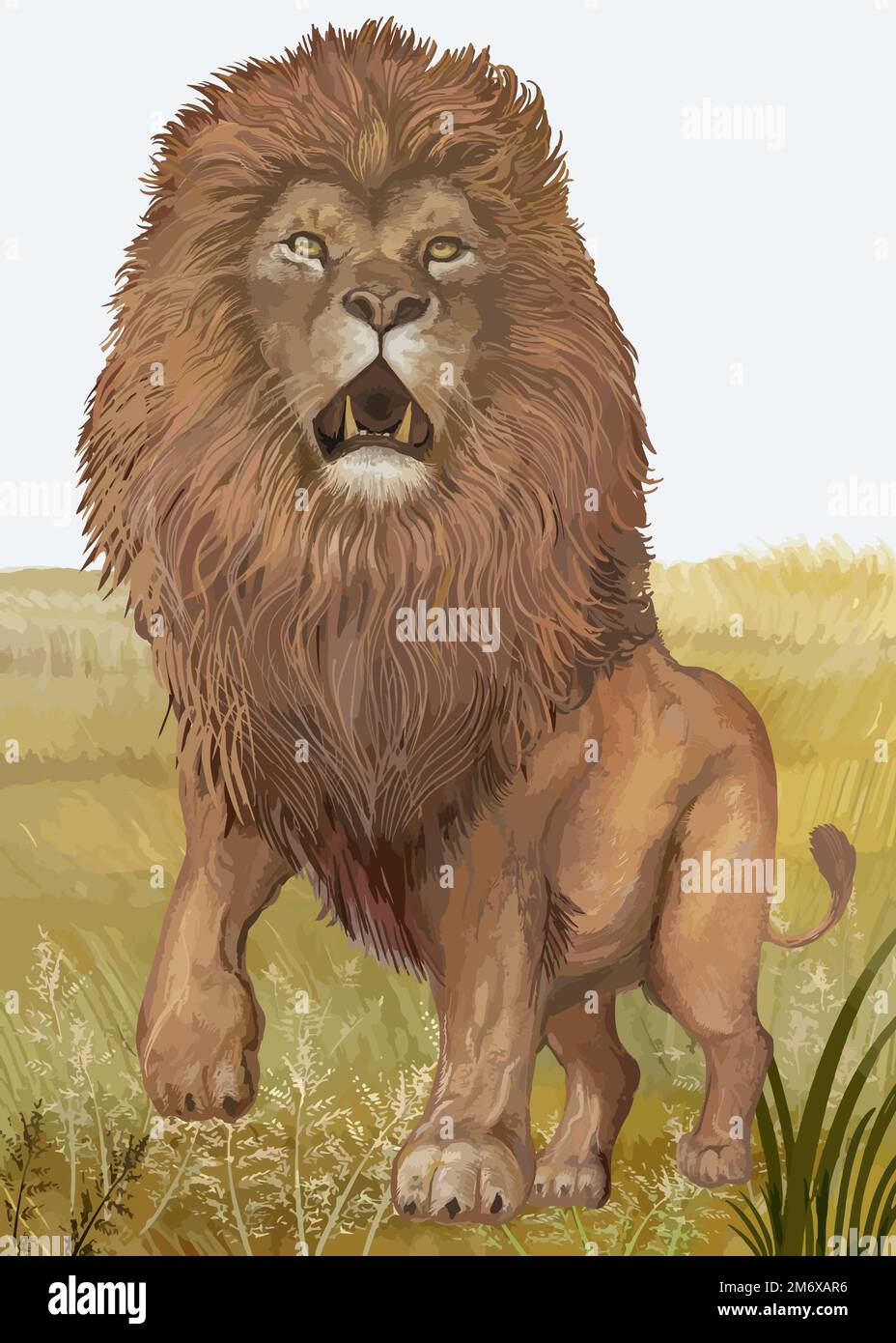 Almighty roaring lion in the jungle vector Stock Vector Image & Art - Alamy