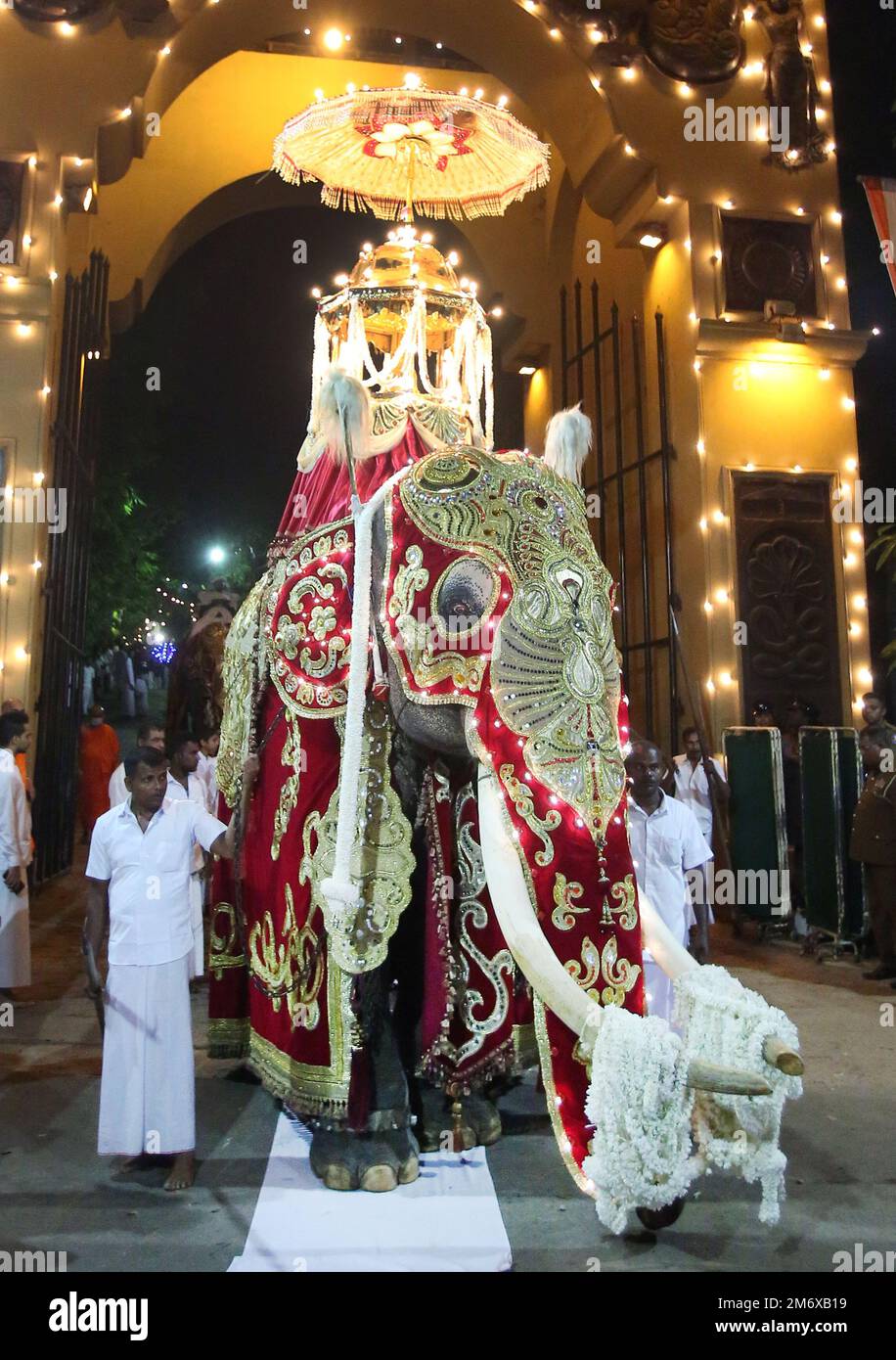 Kelaniya, Sri Lanka. 5th Jan, 2023. A decorated elephant carries sacred ...