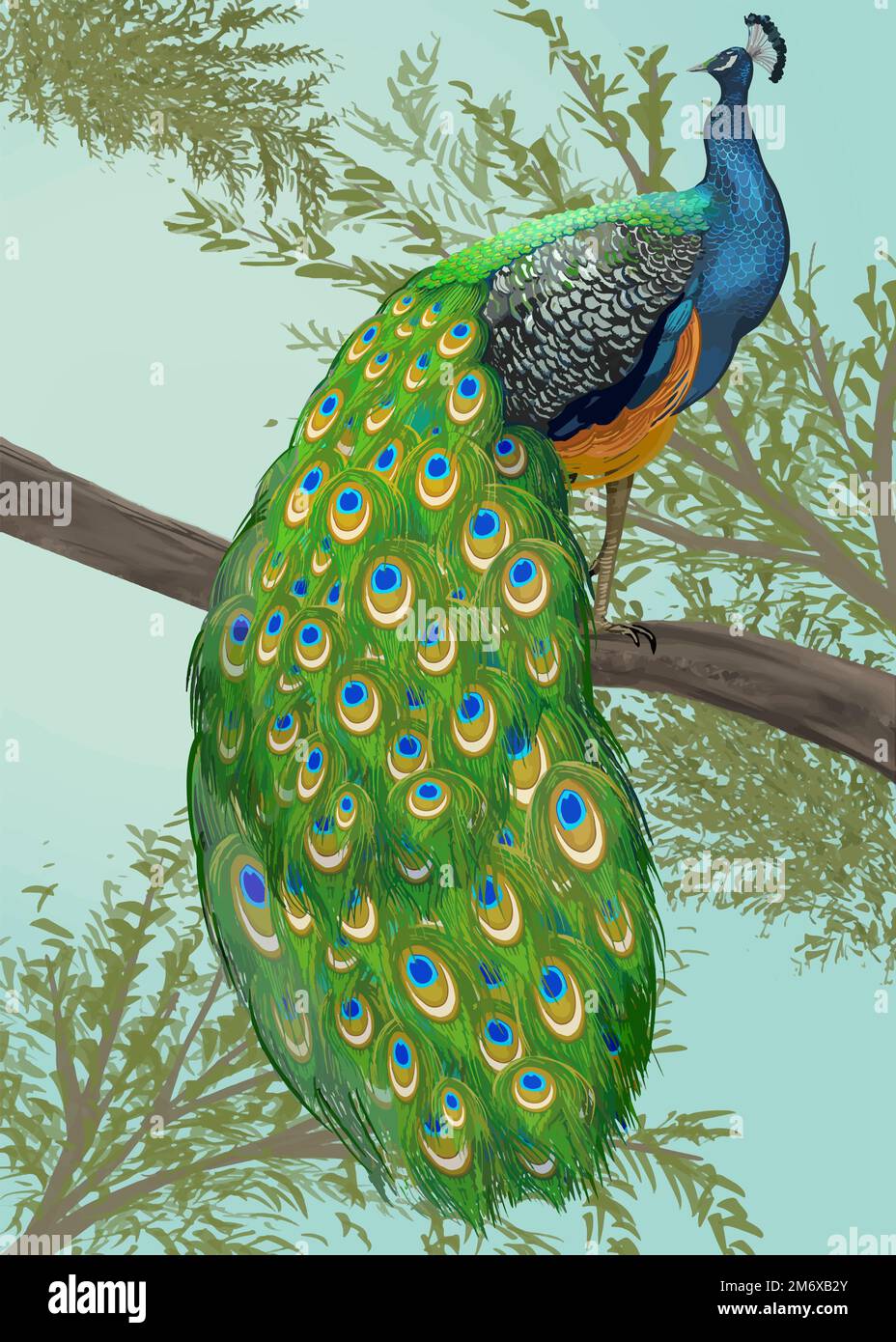 Peacock on a branch vector Stock Vector Image & Art - Alamy