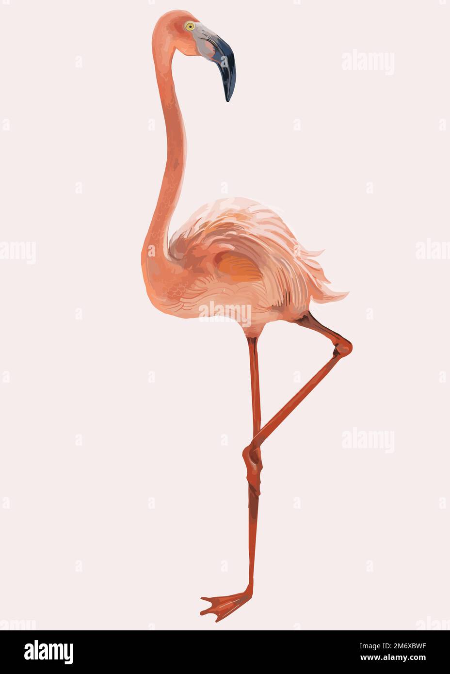 Standing on one leg Stock Vector Images - Alamy