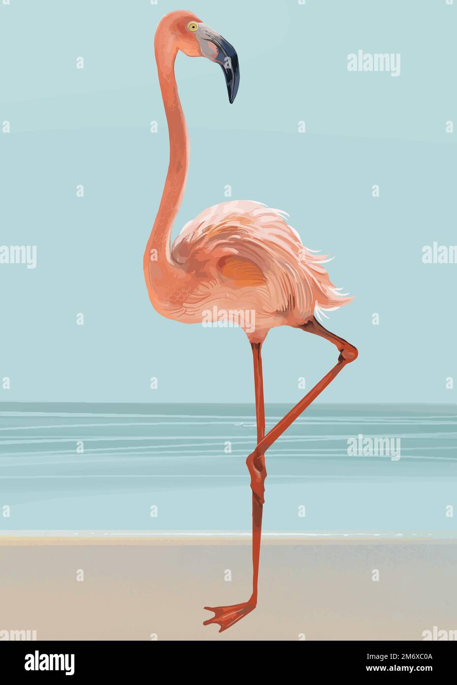 On one leg standing Stock Vector Images - Alamy