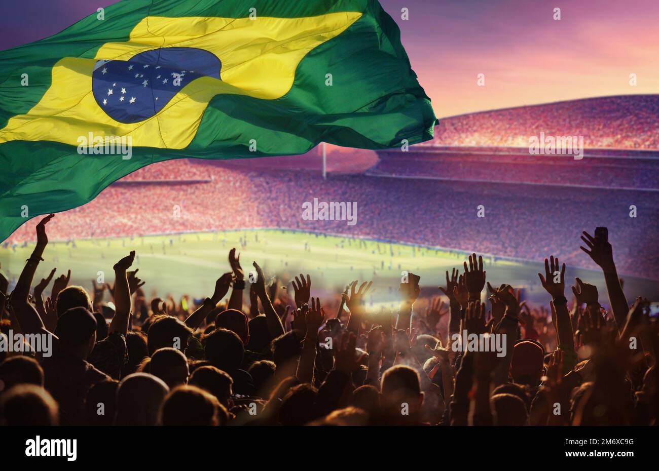 Brazil football fans female hi-res stock photography and images - Alamy
