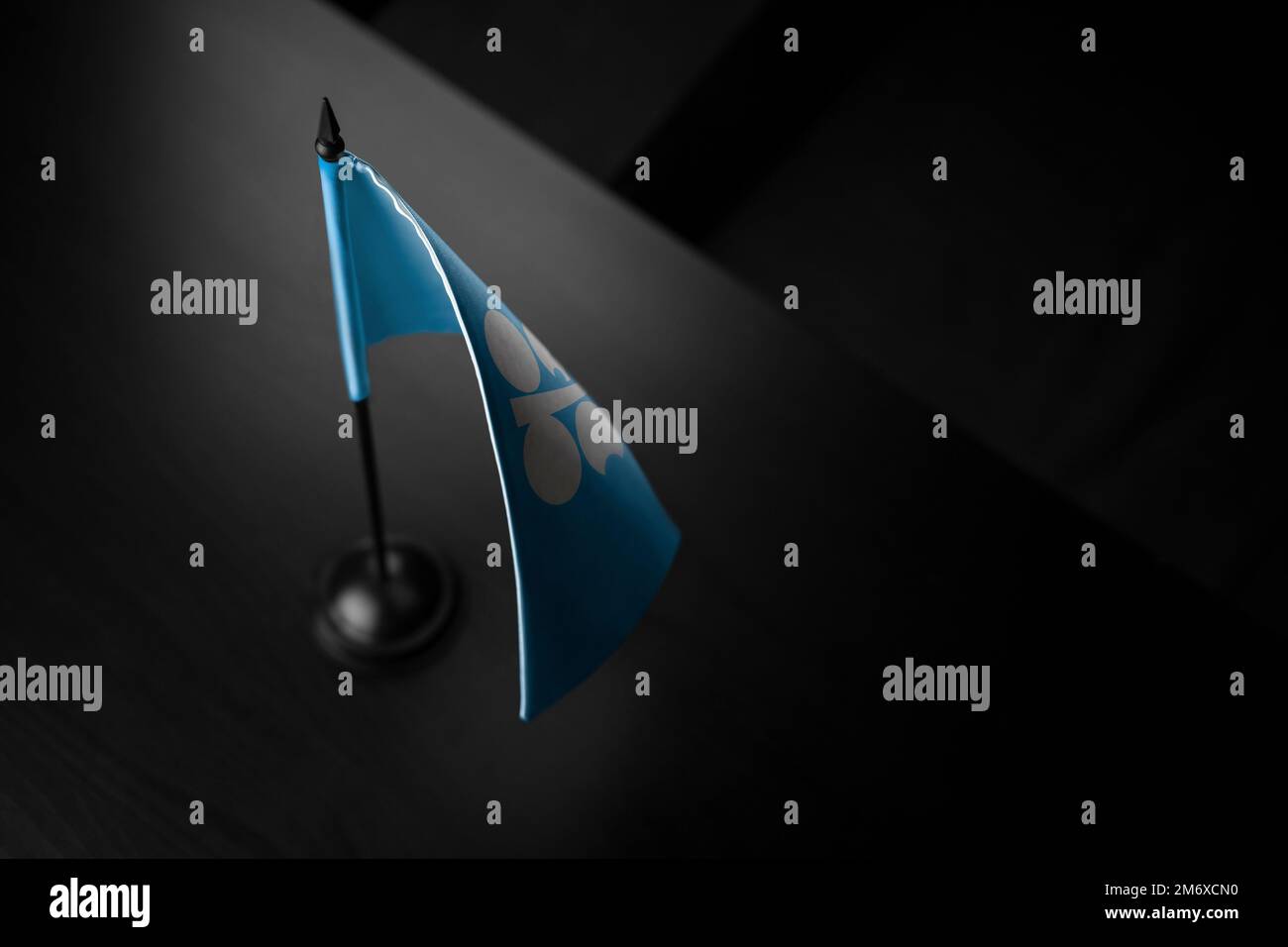 Small national flag of the Organization of the Petroleum Exporting ...