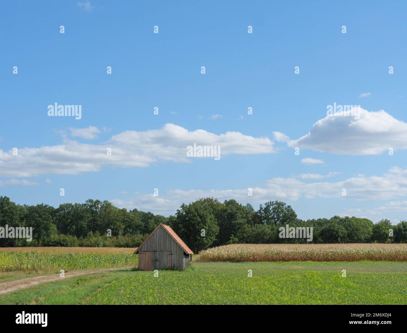 Winterswijk in the netherlands at summer time Stock Photo - Alamy
