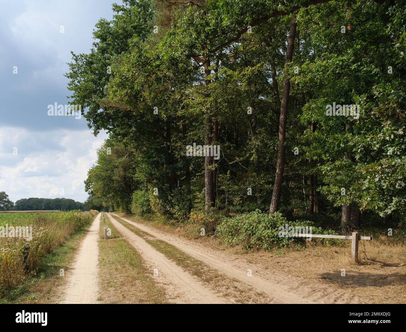 Winterswijk in the netherlands at summer time Stock Photo - Alamy