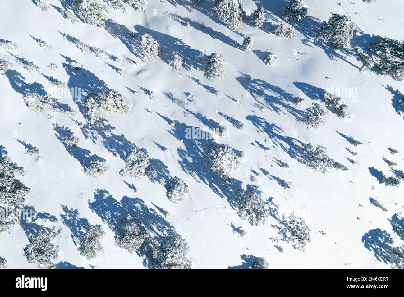 Drone aerial scenery of mountain snowy forest landscape covered in snow ...