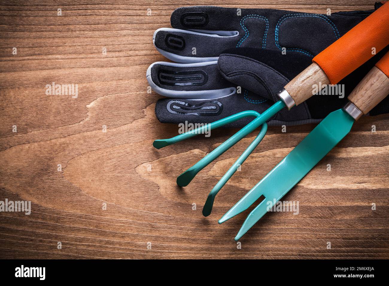 Gardening dandelion trowel hand rake safety gloves on wood board Stock ...