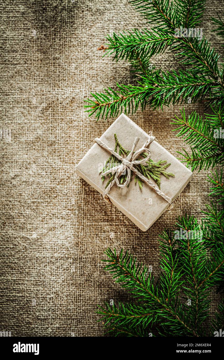 Gift box thuya pine tree branch on sacking background Stock Photo - Alamy