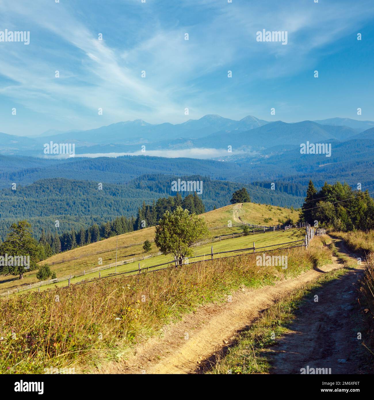Summer mountain view (Carpathian, Kryvopillja, Verkhovyna district ...