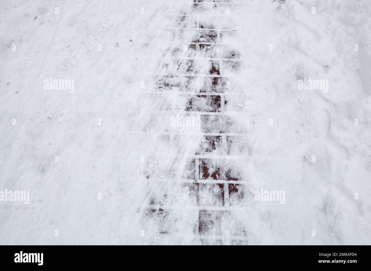 Winter snow in park. Snowy white texture. Snowflakes Stock Photo - Alamy
