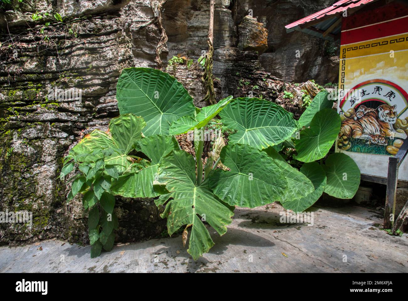 Perak, Malaysia. September 30,2022:Leisure activity and also scene of ...