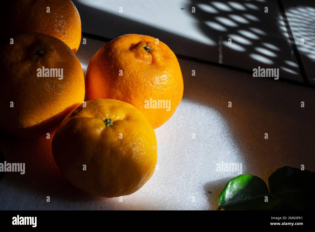 Orange fruits with light and shadow on white background Stock Photo - Alamy