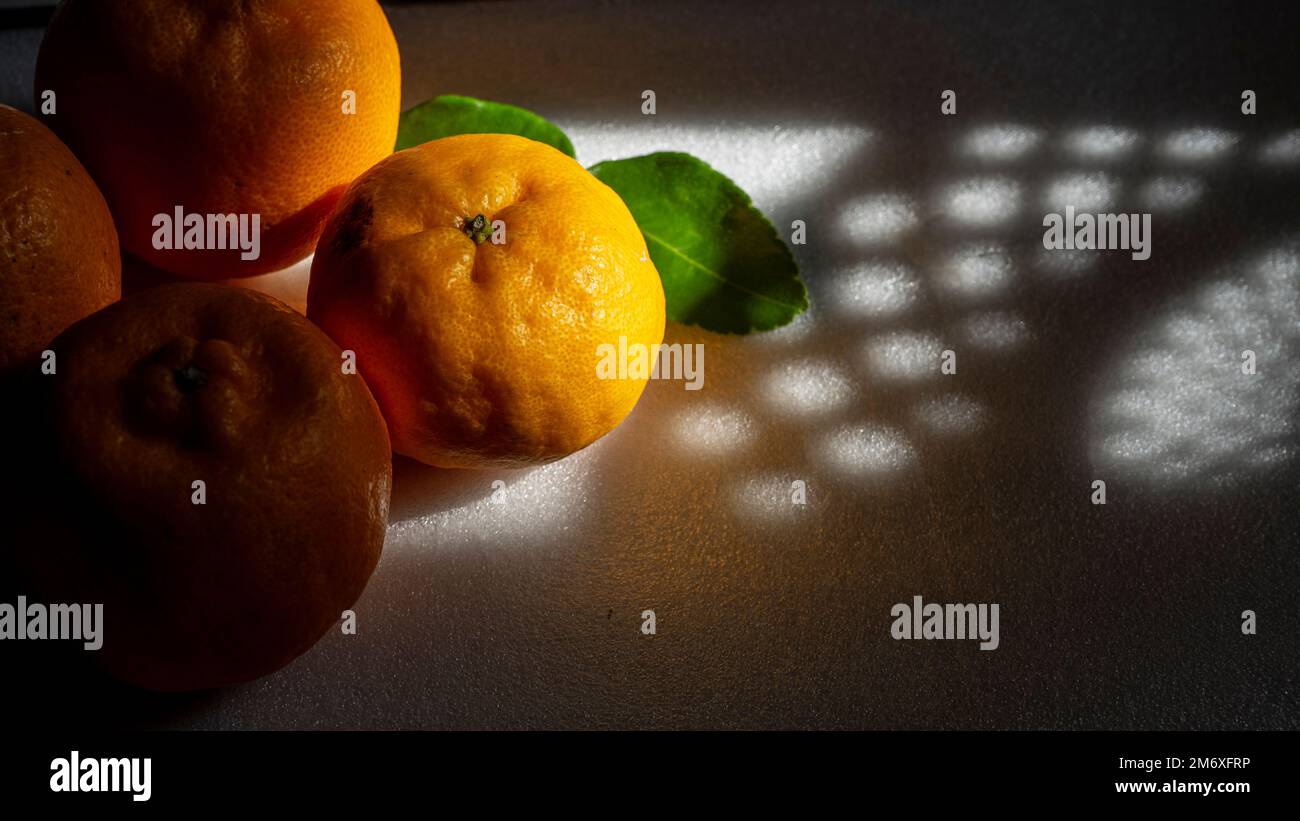 Orange fruits with light and shadow on white background Stock Photo - Alamy