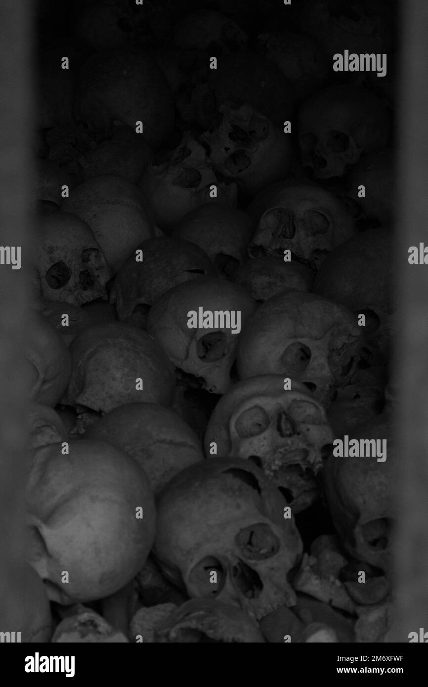 A vertical of a stack of human skulls shot in grayscale Stock Photo - Alamy